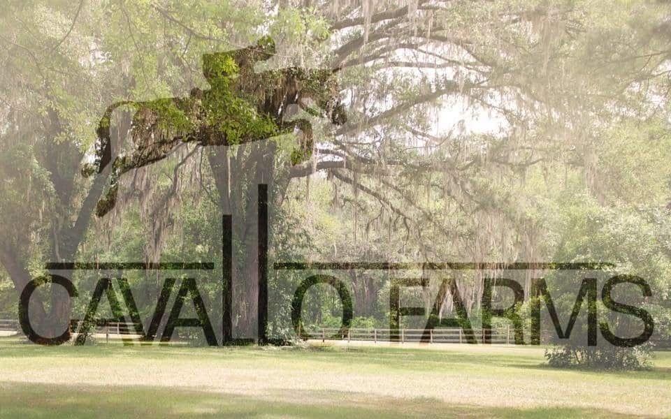 Cavallo Farms - Tallahassee Times