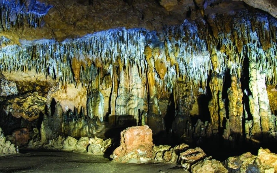 Florida Caverns State Park - Tallahassee Times