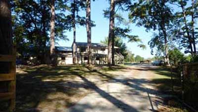 Happy Trails Ranch - Tallahassee Times