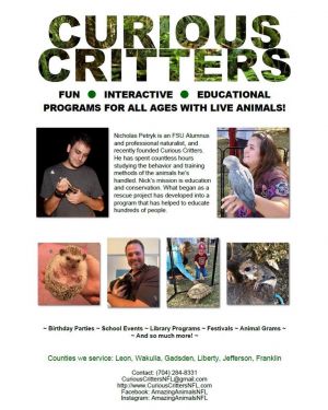 Curious Critters - Tallahassee Times