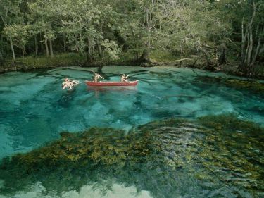 Cypress Springs - Tallahassee Times