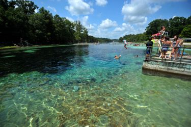 Jackson Blue Springs - Tallahassee Times