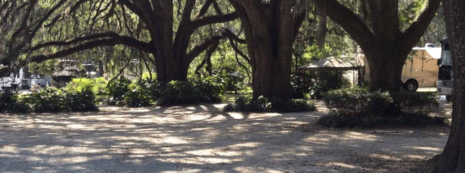 Big Oak RV Park - Tallahassee Times