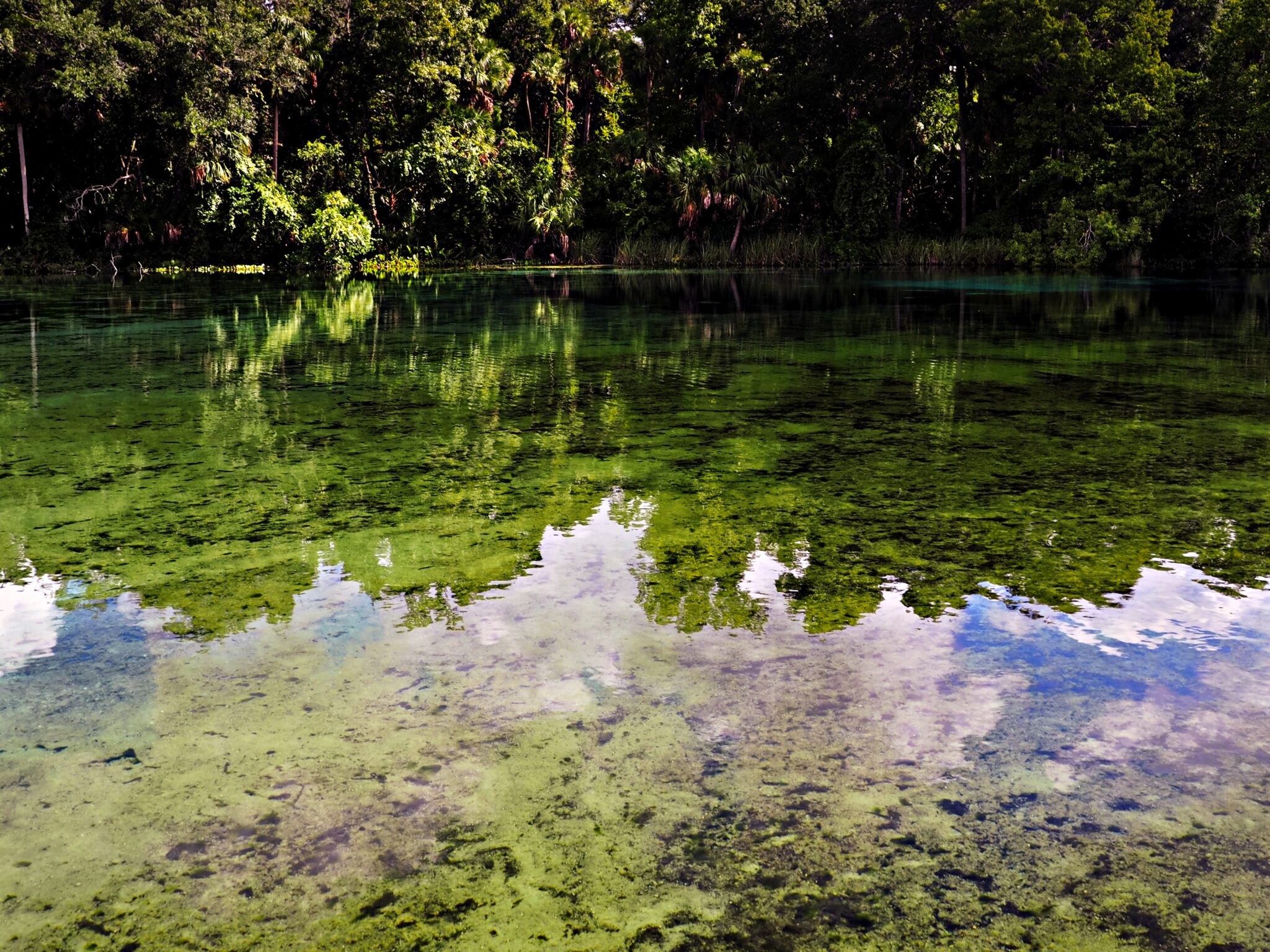 Florida Springs Camping Options - Tallahassee Times