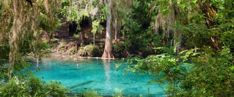 Florida Springs Camping Options - Tallahassee Times
