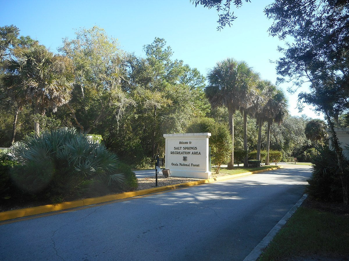 Florida Springs Camping Options - Tallahassee Times